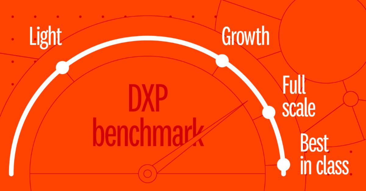 Magnolia's DXP Benchmark Tool | Magnolia Headless CMS