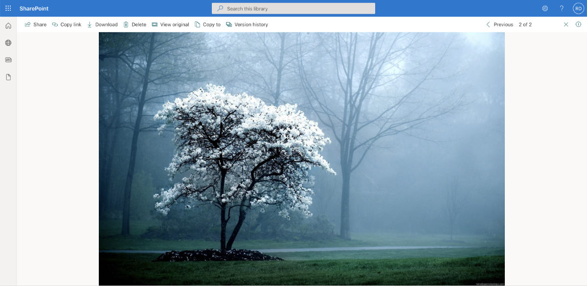 Microsoft Sharepoint DAM Connector | Magnolia Headless CMS