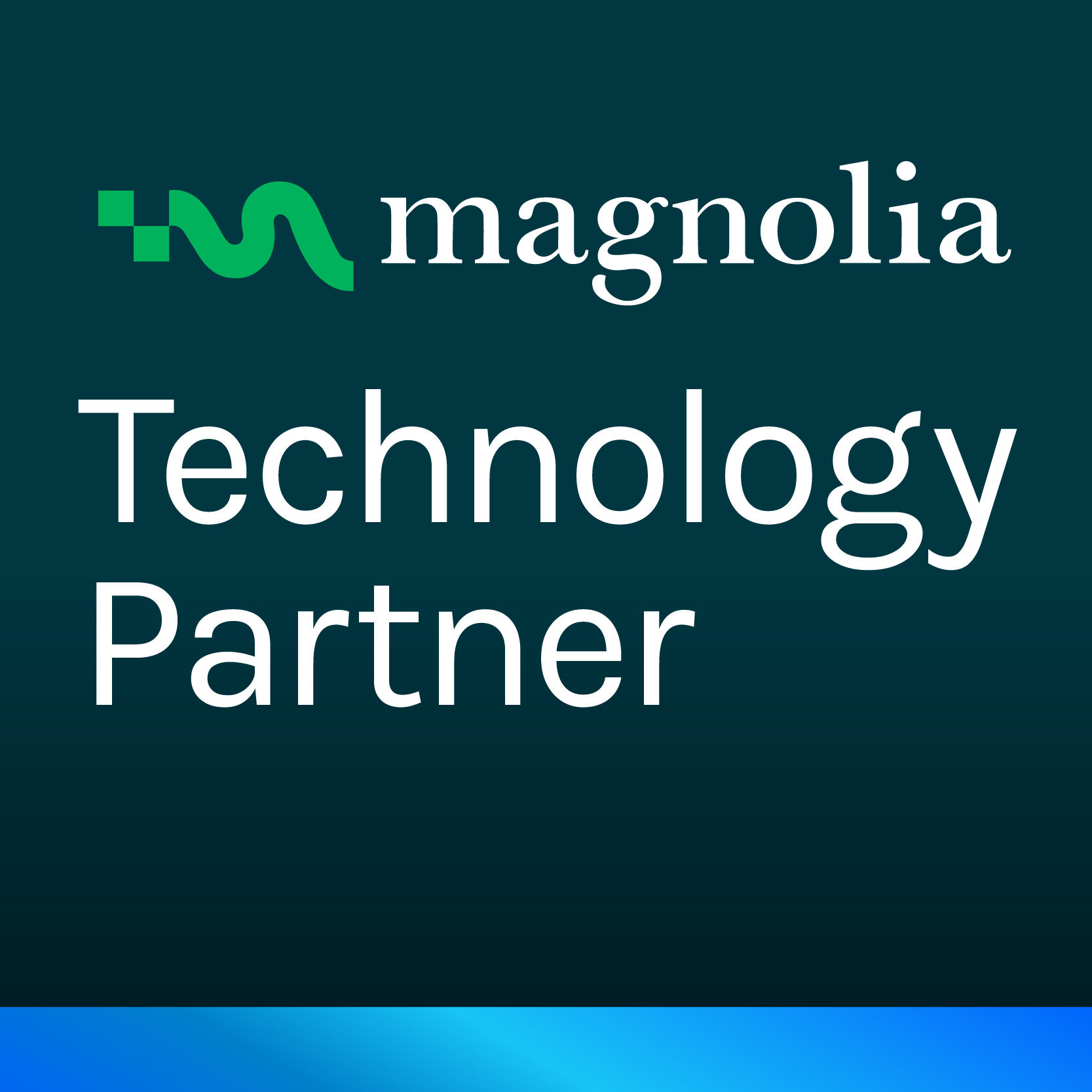 Magnolia Partners | Magnolia Headless CMS